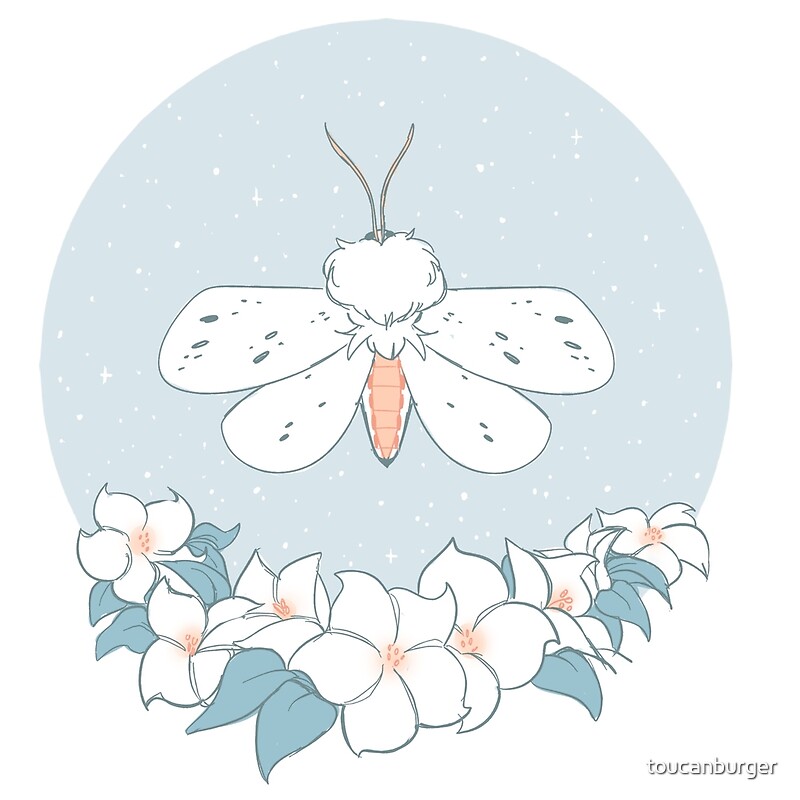 "Moonflower Moth" by toucanburger | Redbubble