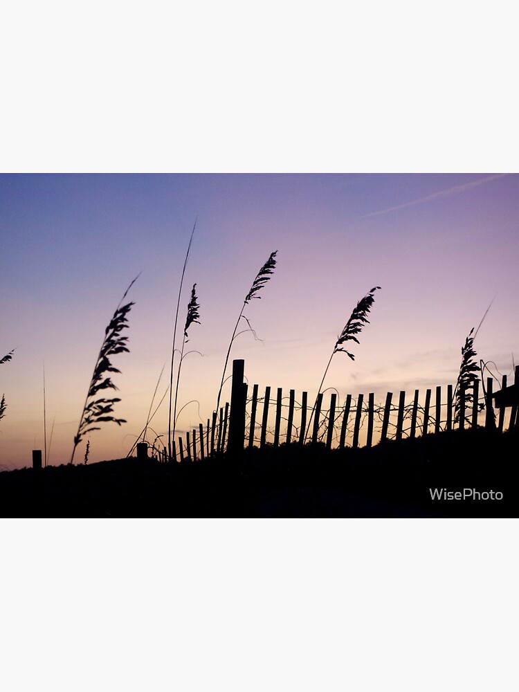 "Sea Oats on the Beach" Sticker by WisePhoto | Redbubble