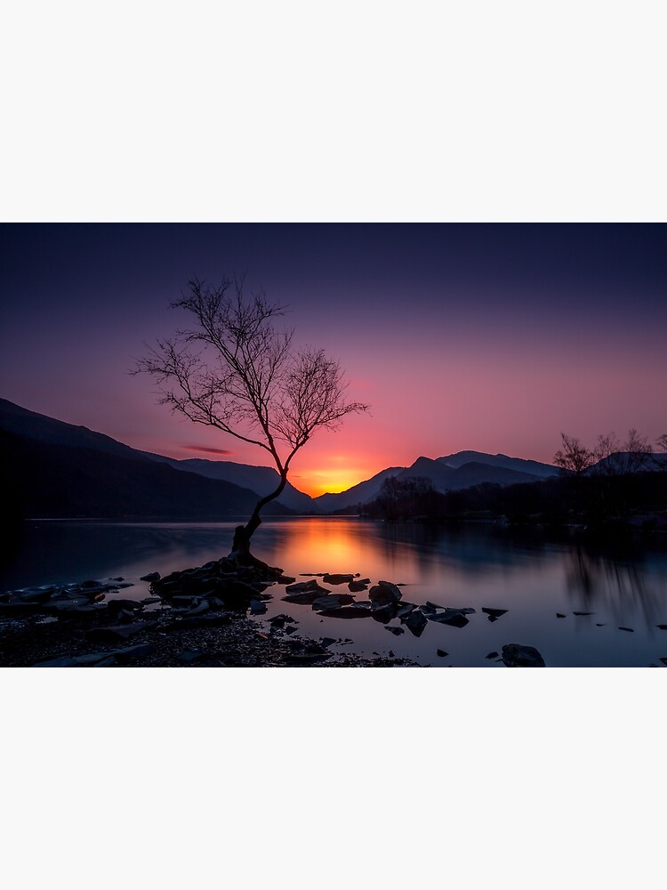 "Lone Tree " Poster by Trebor1212 | Redbubble