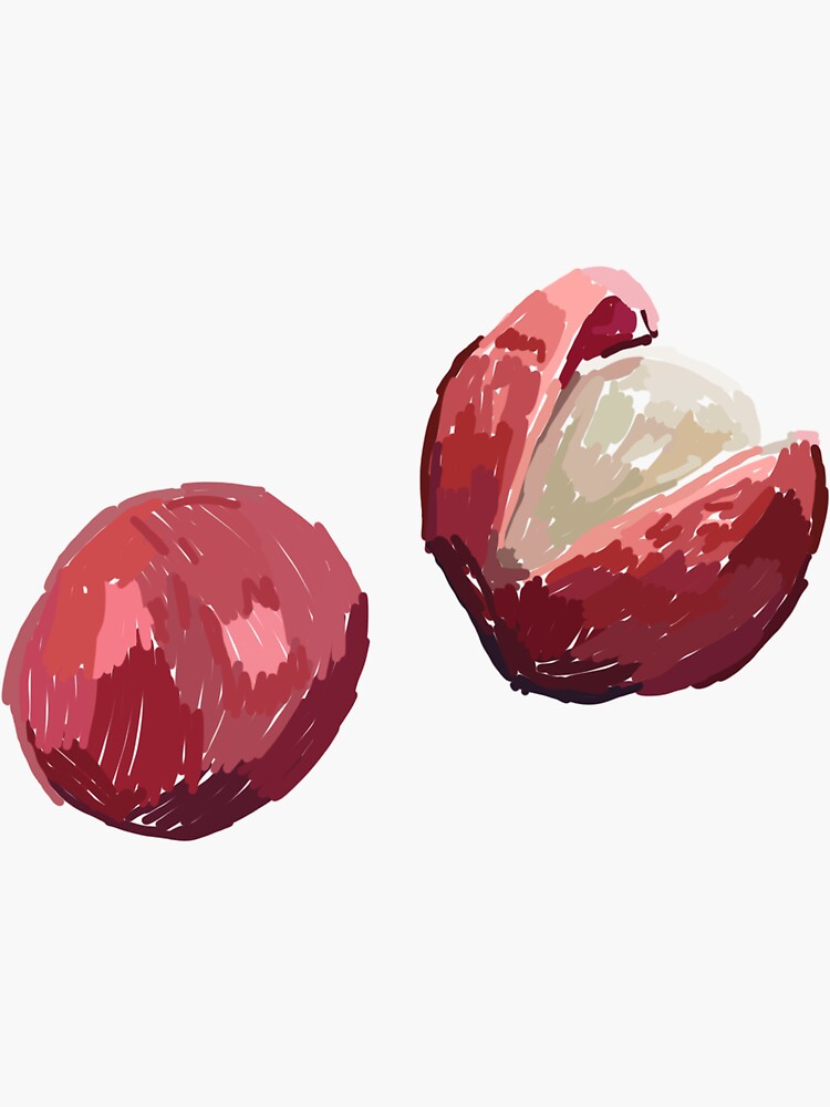 "Lychee line art" Sticker for Sale by AnnaE-Designs | Redbubble