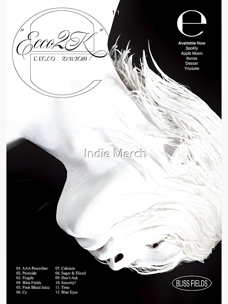 "Ecco2k Poster Drain Gang" Poster for Sale by fadecas | Redbubble