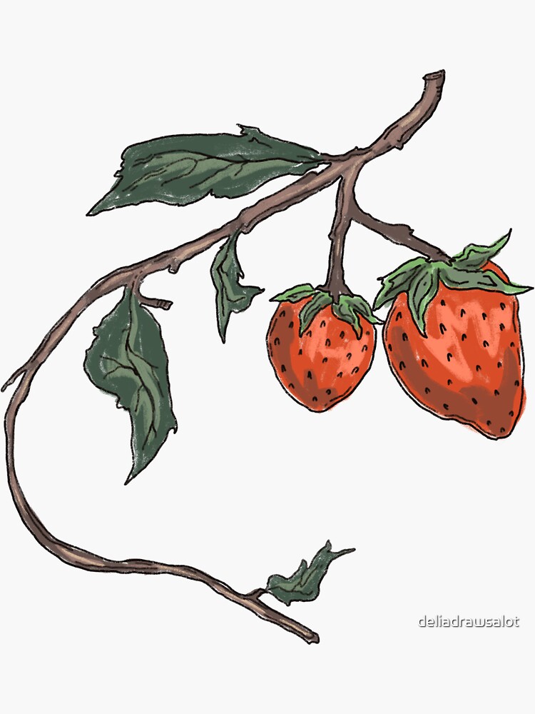 Vine Paintings Of Strawberries A Branch Of Strawberry. Engraving With