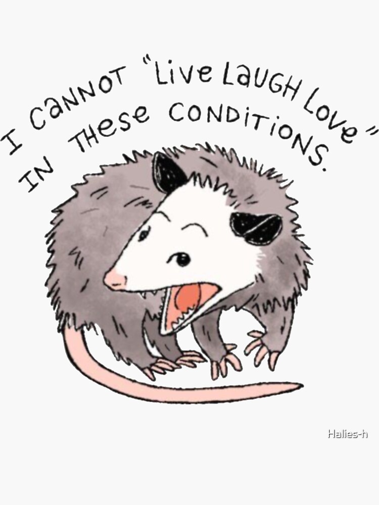 "I cannot live laugh love In these conditions " Sticker for Sale by ...