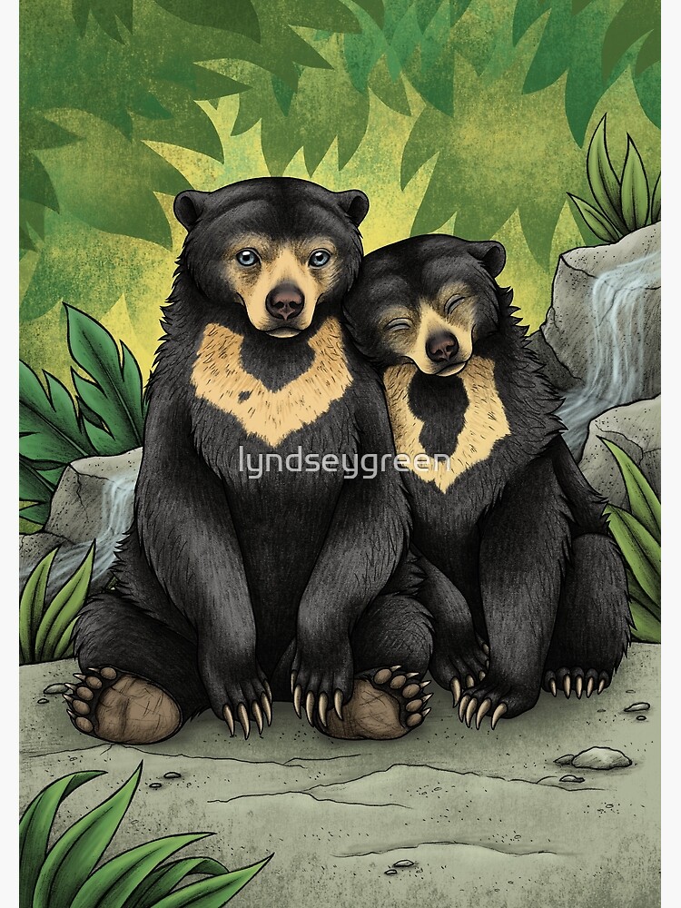 "Sun Bears" Art Print for Sale by lyndseygreen | Redbubble