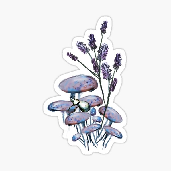 "Amethyst deceiver mushroom and lavender, forestcore charcoal drawing ...
