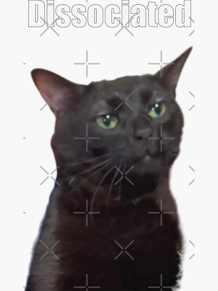"Dissociated Cat meme" Sticker by Chicledechoclo | Redbubble