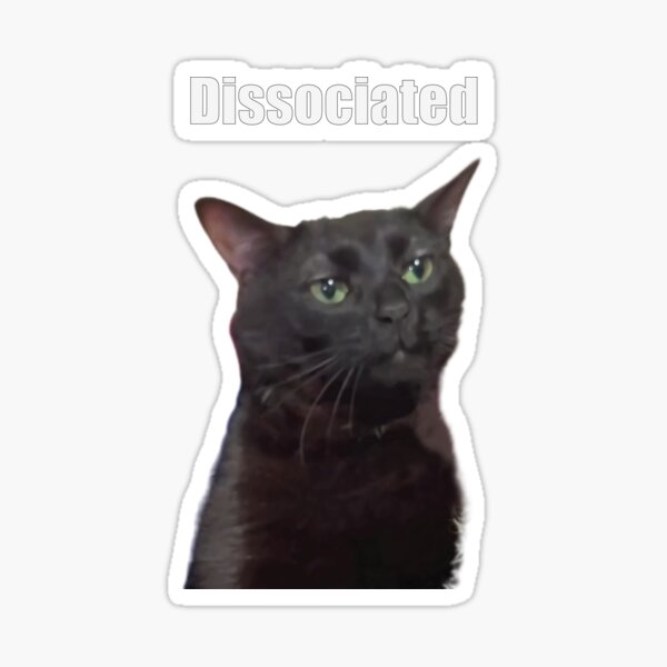 "Dissociated Cat meme" Sticker by Chicledechoclo | Redbubble