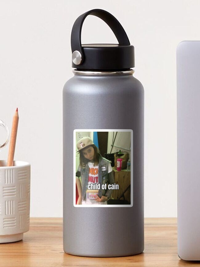 "salt in the wound julien baker meme" Sticker for Sale by eldrury ...