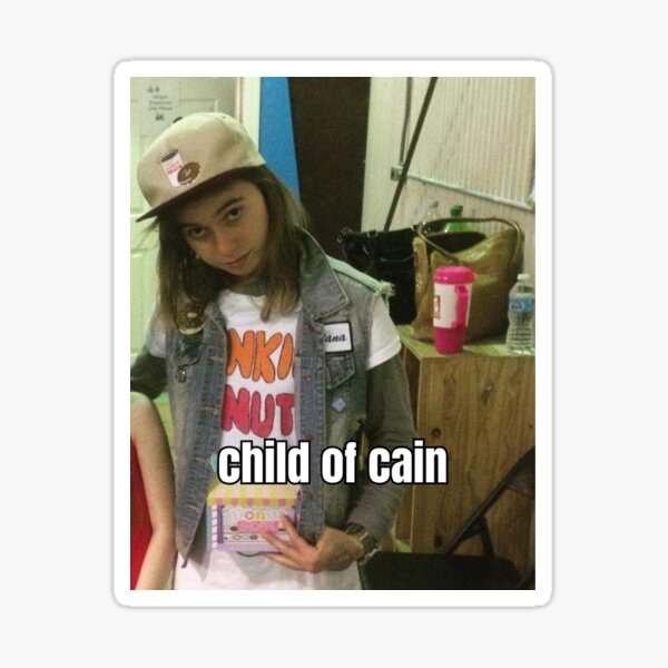 "salt in the wound julien baker meme" Sticker for Sale by eldrury ...