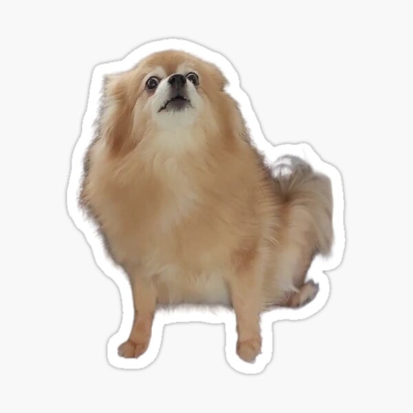 "Eskipom Pomimo" Sticker for Sale by euphana | Redbubble