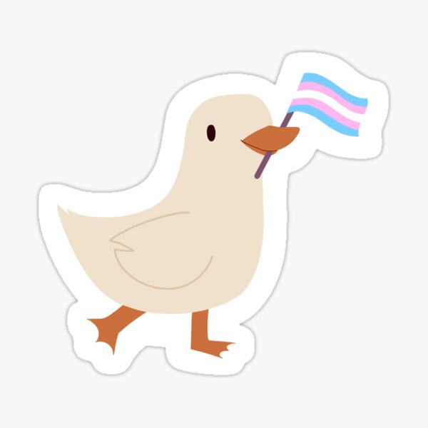 Shemales Merch & Gifts for Sale | Redbubble