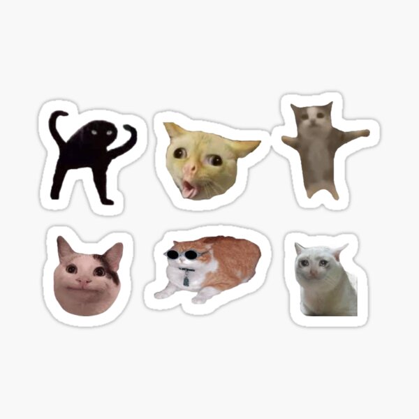 "Meme Cat (6 pack)" Sticker for Sale by LilyPadShop | Redbubble