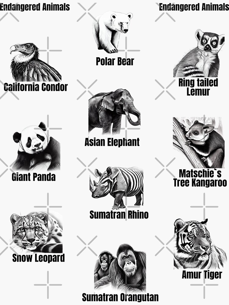 "Endangered Animals Sticker Pack - 10 Units" Sticker for Sale by ...