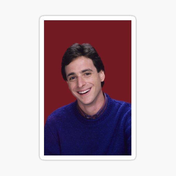 "Danny Tanner" Sticker for Sale by sophiapetrillo | Redbubble