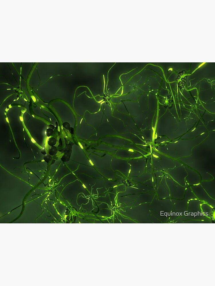 "Neural Network" Sticker by equinoxgraphics | Redbubble