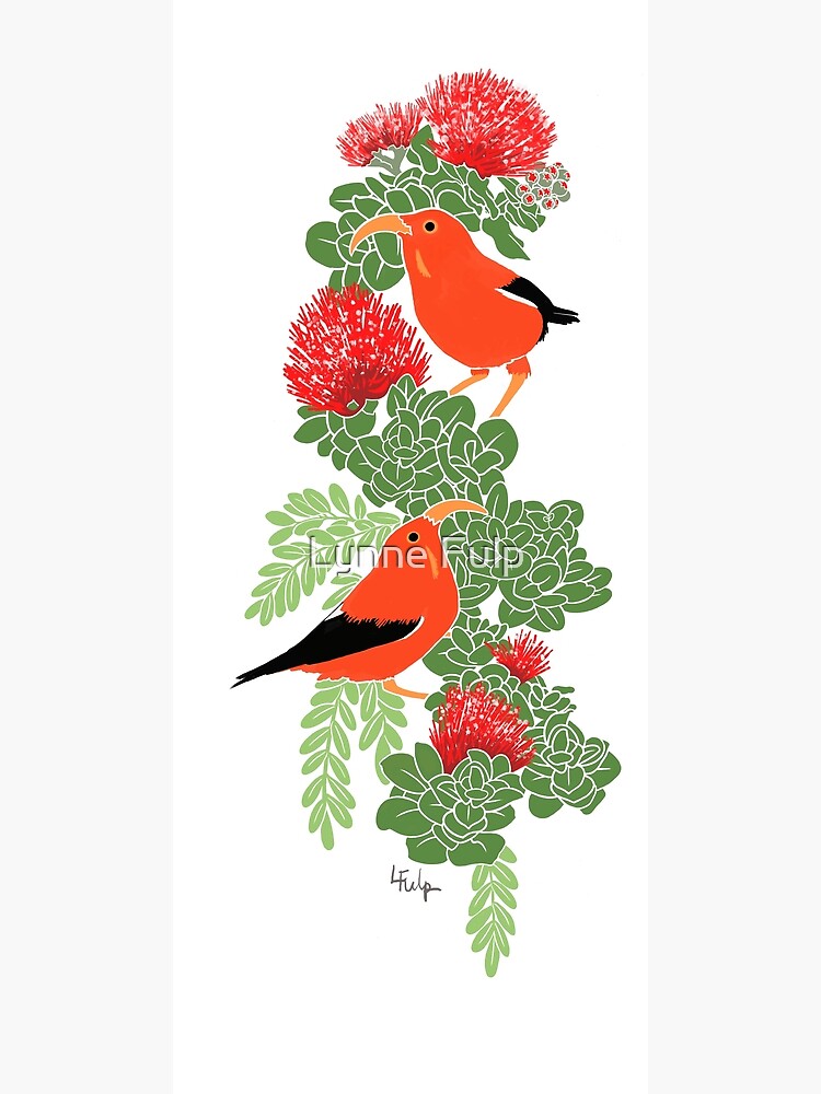 "Ohia Lehua and 'I'iwi Birds" Poster for Sale by Lynne Fulp | Redbubble