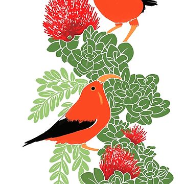 "Ohia Lehua and 'I'iwi Birds" Sticker for Sale by lmfulp | Redbubble