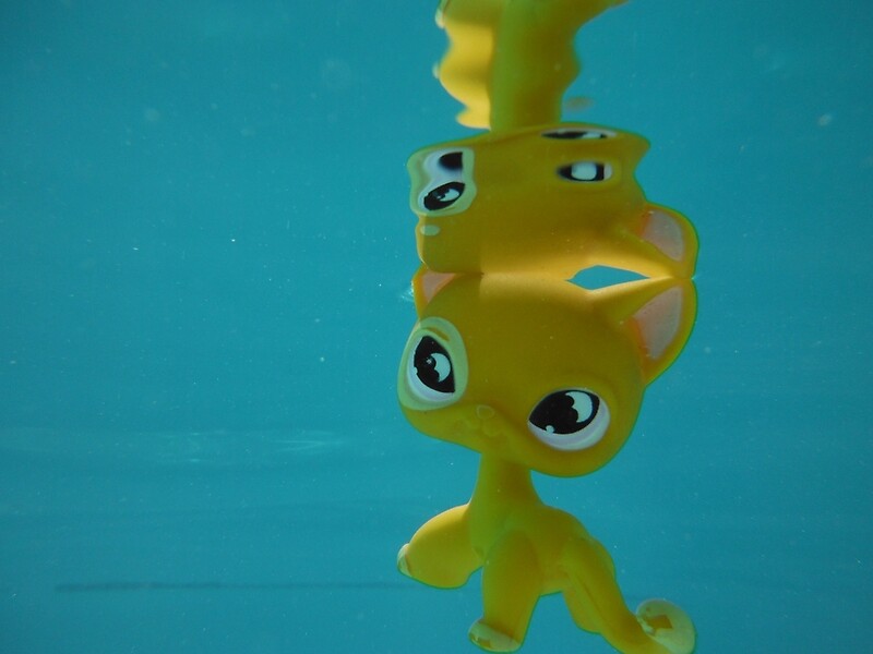 "Littlest Pet Shop Cat in a POOL" by aurora-borealis | Redbubble