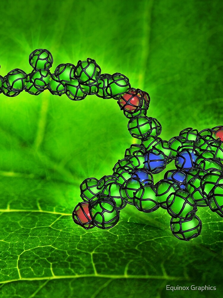 "Chlorophyll molecule" Sleeveless Top for Sale by equinoxgraphics ...
