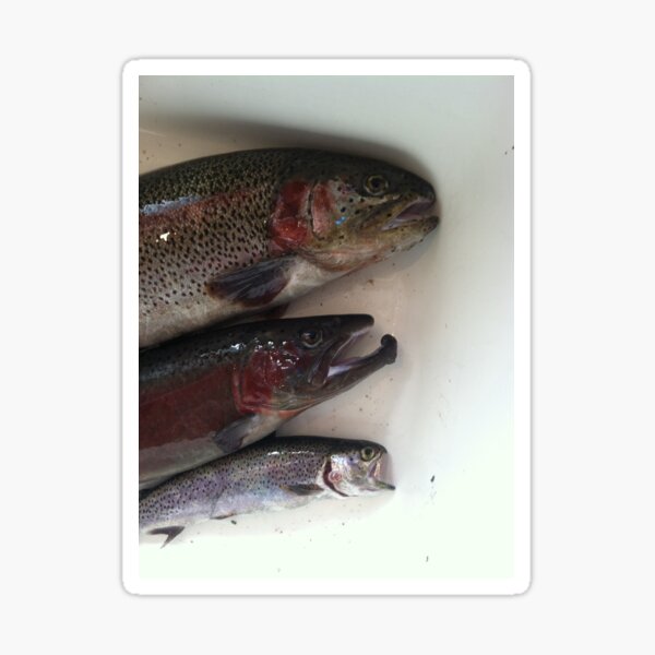 Wyoming Gifts & Merchandise for Sale | Redbubble