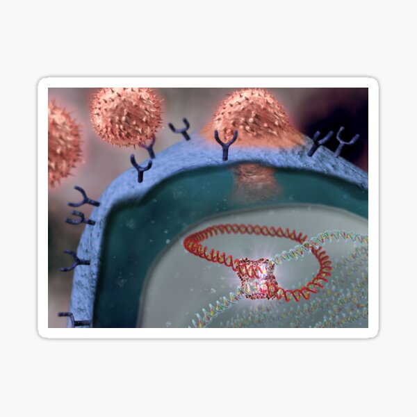 "Retrovirus Replication" Sticker for Sale by equinoxgraphics | Redbubble