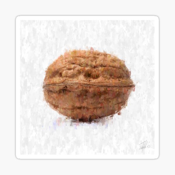 "Big Walnut" Sticker by theodordecker | Redbubble