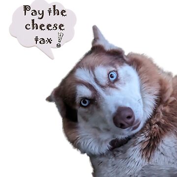 "Pay the Cheese Tax" Sticker for Sale by CHENOARTWORKS | Redbubble