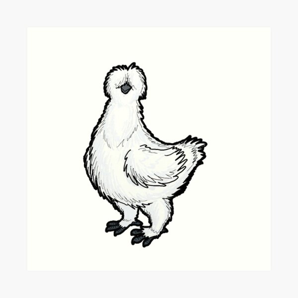 "Silkie Chicken" Art Print for Sale by Halakahiki | Redbubble