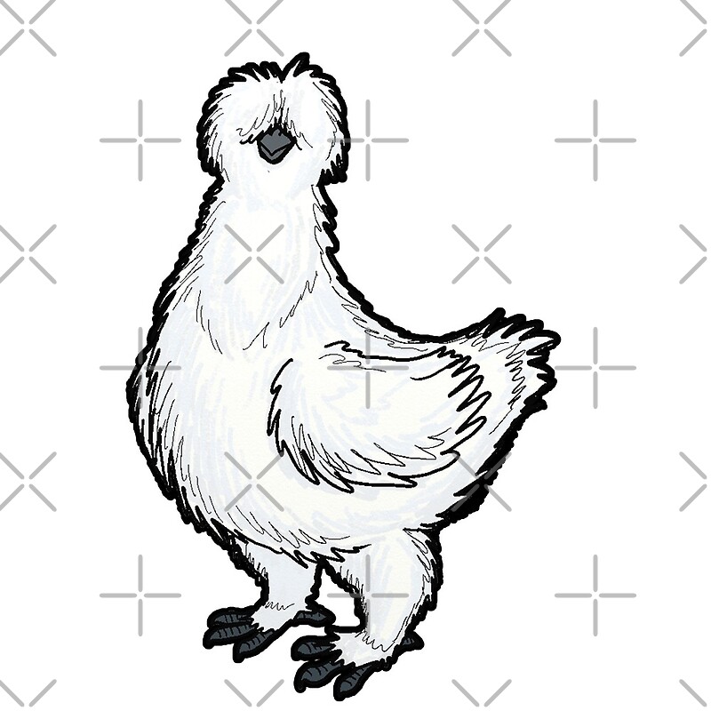 "Silkie Chicken" by Halakahiki | Redbubble