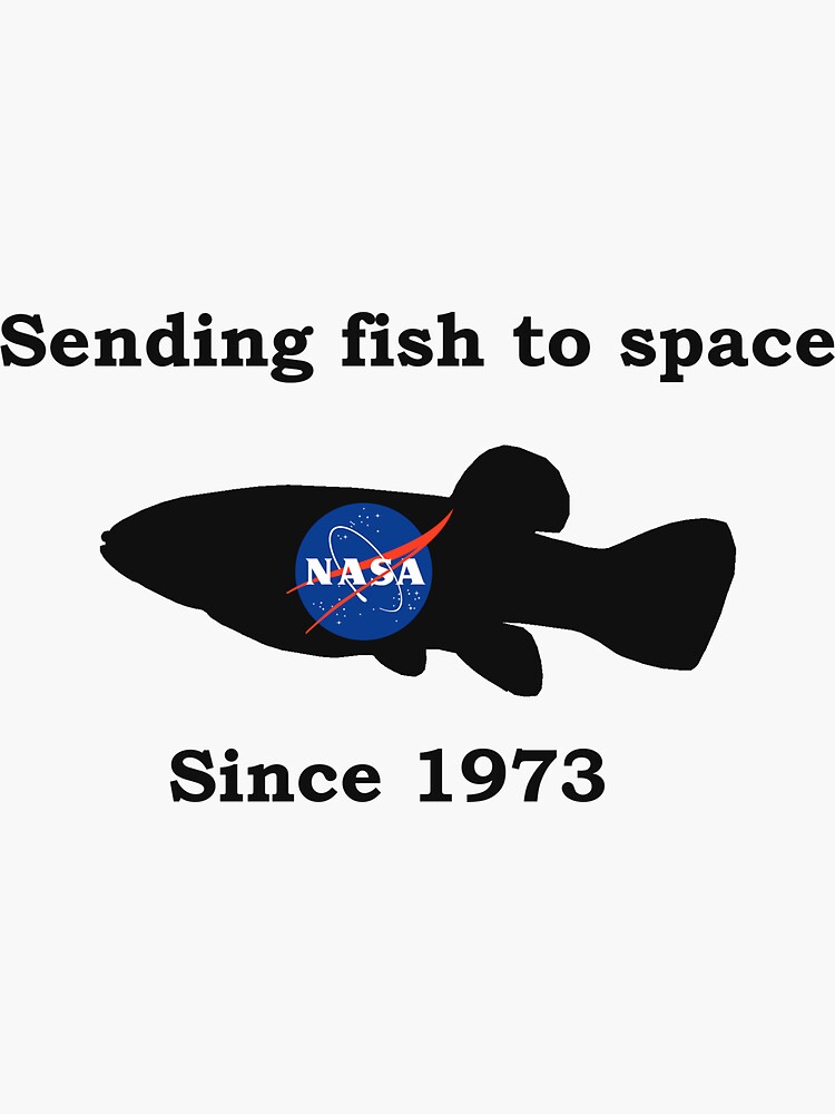 "Sending fish to space (Mummichog NASA logo) 1" Sticker for Sale by ...