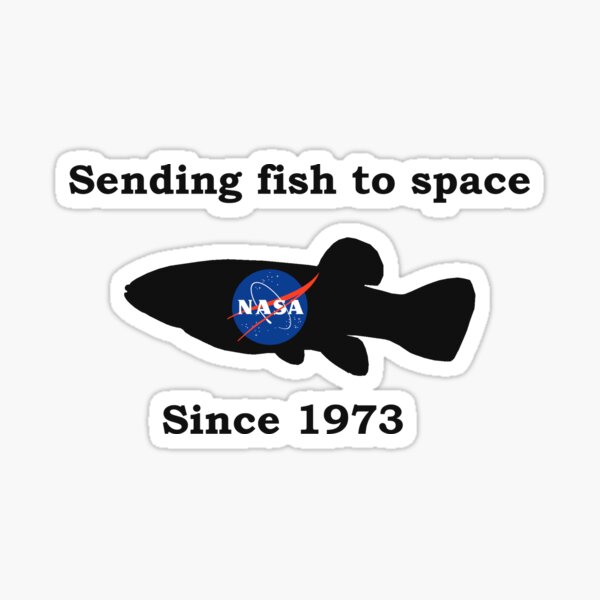 "Sending fish to space (Mummichog NASA logo) 1" Sticker for Sale by ...