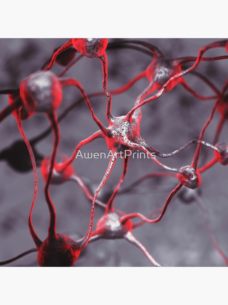 "Biological Neural network Interconnected Neurons of Human brain ...