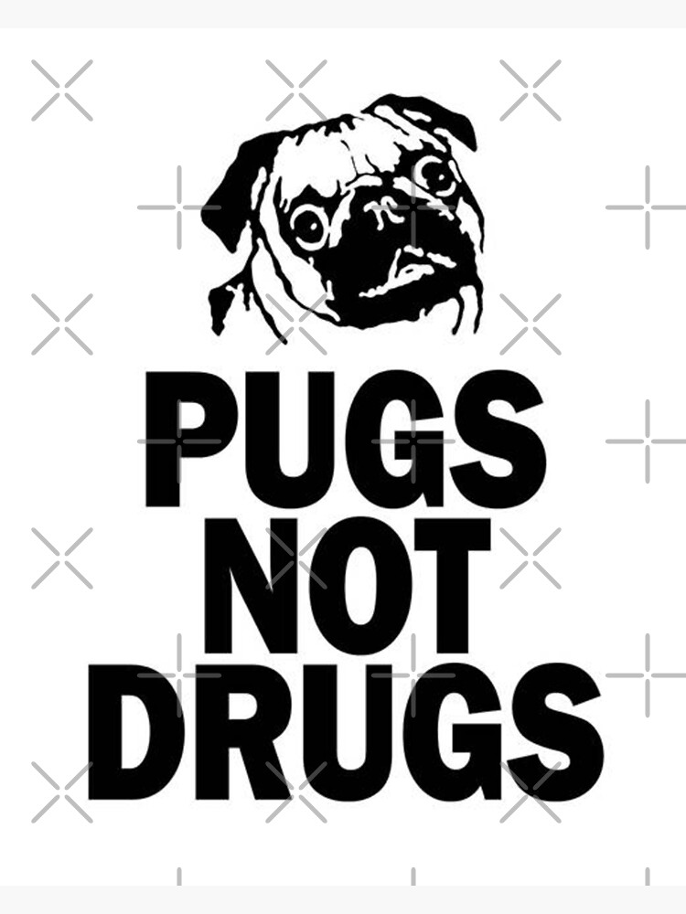 "Pug Not Drugs" Poster for Sale by HoustonPhatz | Redbubble