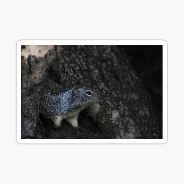 Peaking Gifts & Merchandise | Redbubble