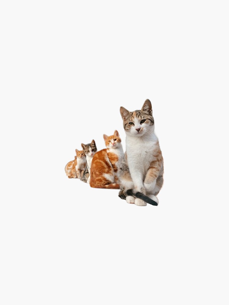 "Cat Gang" Sticker for Sale by TotalBS | Redbubble