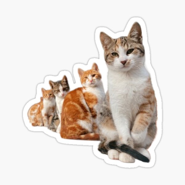 "Cat Gang" Sticker for Sale by TotalBS | Redbubble
