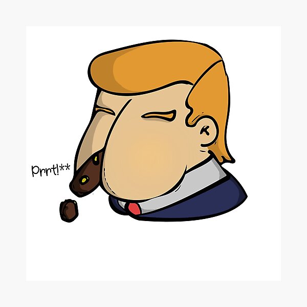 Poo Donald Trump Photographic Prints | Redbubble