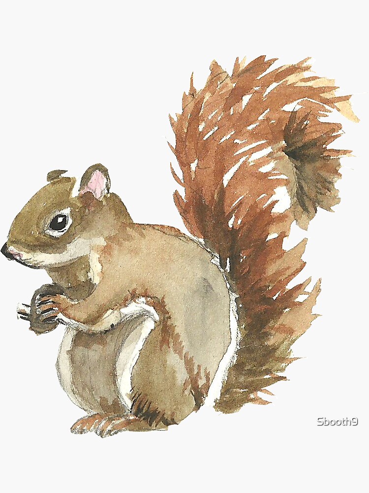 "Cute Squirrel Design" Sticker for Sale by Sbooth9 | Redbubble