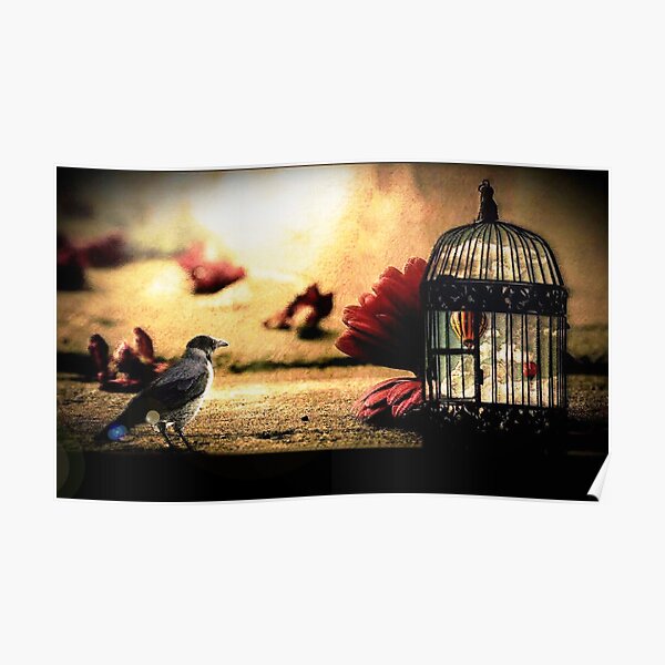 "crow and caged freedom" Poster by mtforlife66 | Redbubble
