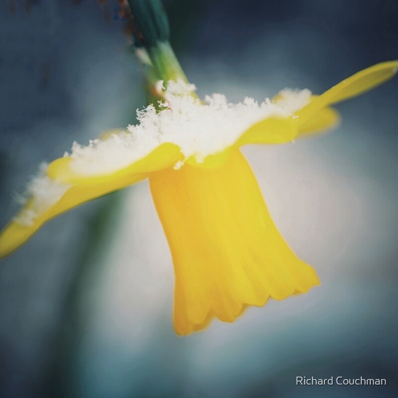 "" Snow In Spring "" by Richard Couchman | Redbubble