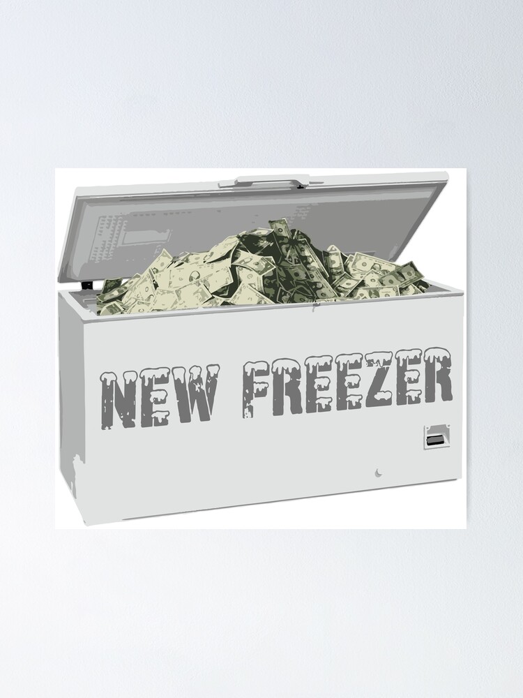 "New Freezer" Poster for Sale by lytt-le | Redbubble