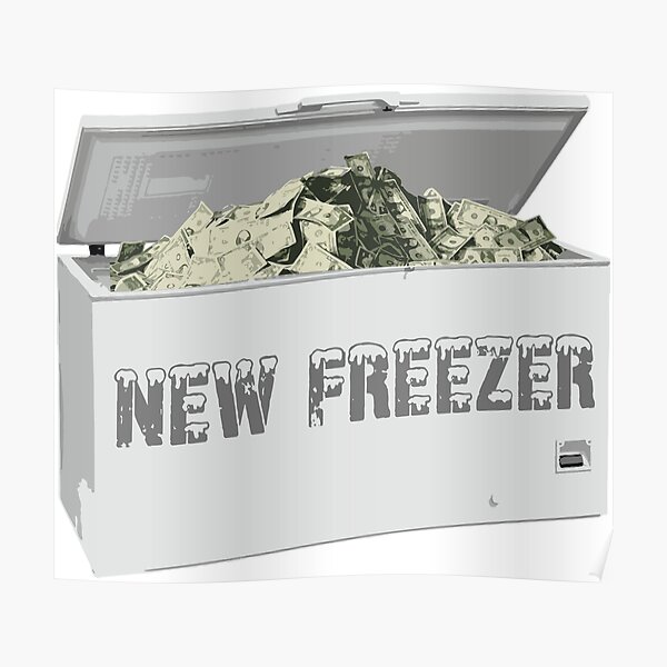 "New Freezer" Poster for Sale by lytt-le | Redbubble