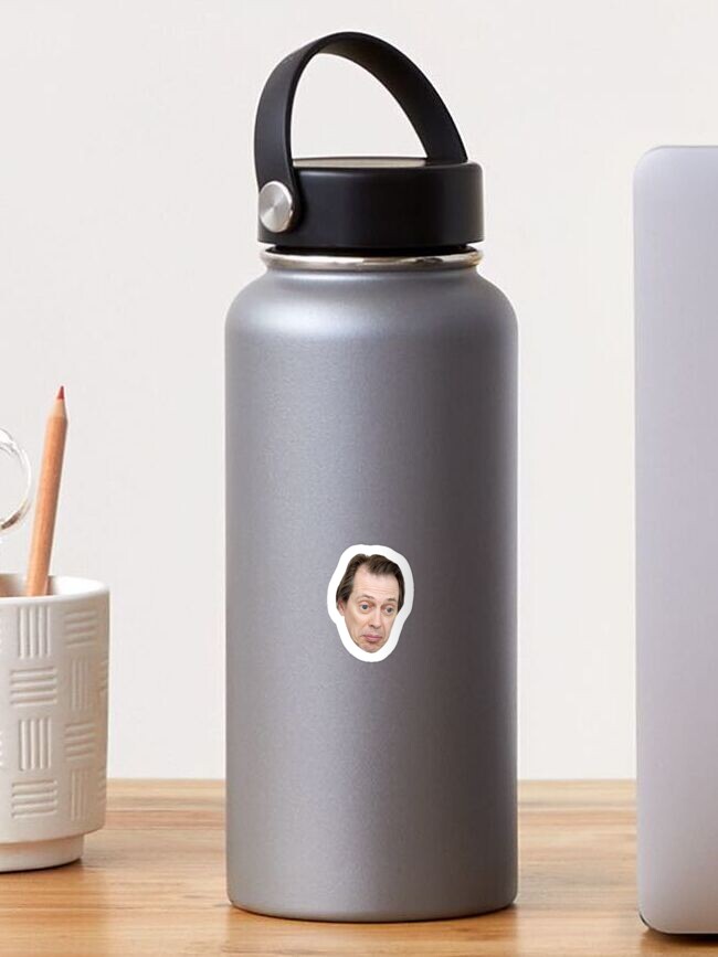 "Steve Buscemi Face" Sticker for Sale by auranullnods | Redbubble