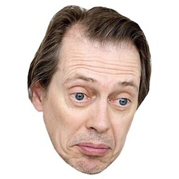 "Steve Buscemi Face" Sticker for Sale by auranullnods | Redbubble