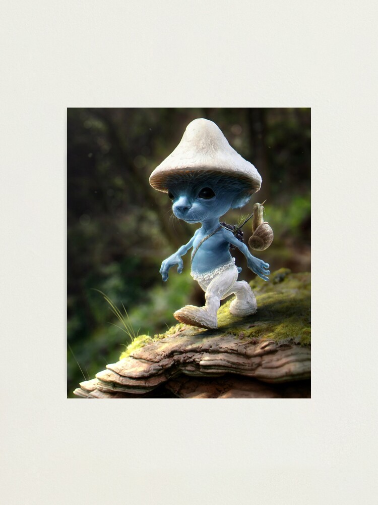 "Blue Smurf Cat meme, shailushai ,shailush mushroom cat " Photographic ...