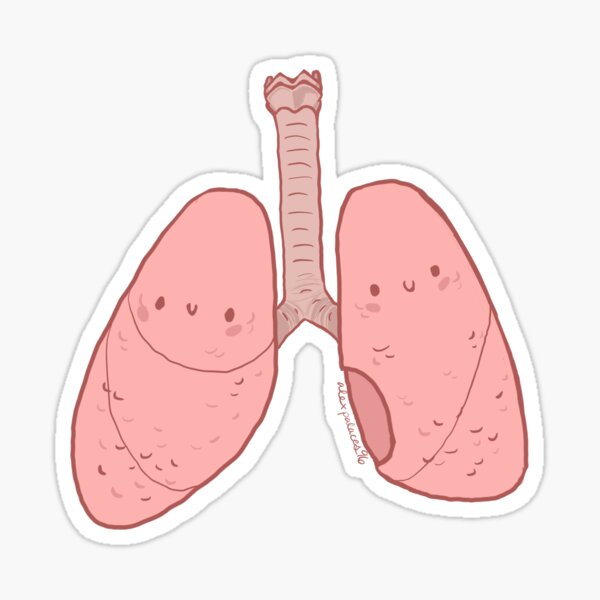 Lungs Stickers | Redbubble