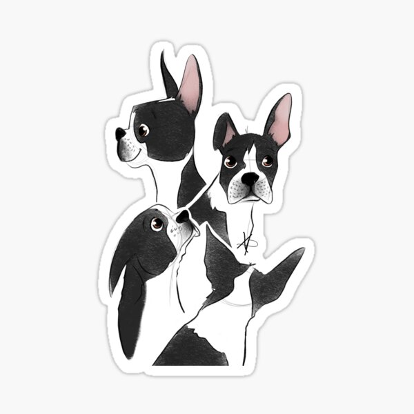 "Boston Terriers " Sticker by XimeAnleu | Redbubble