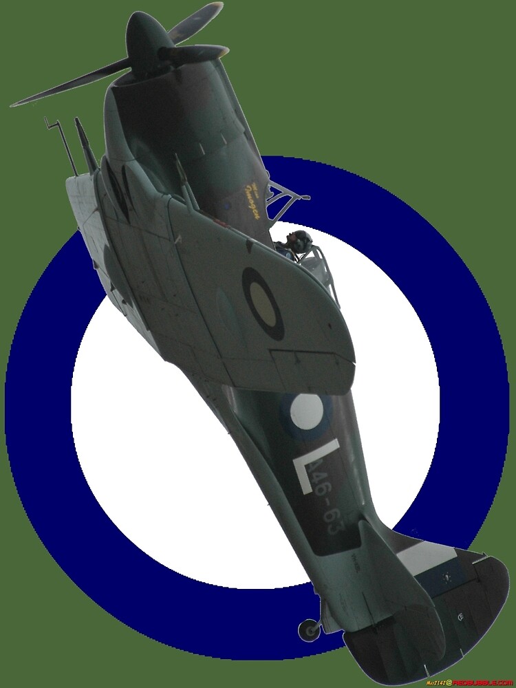 "Pacific WW2 RAAF Roundel CAC Boomerang VH-XBL 2010" by muz2142 | Redbubble