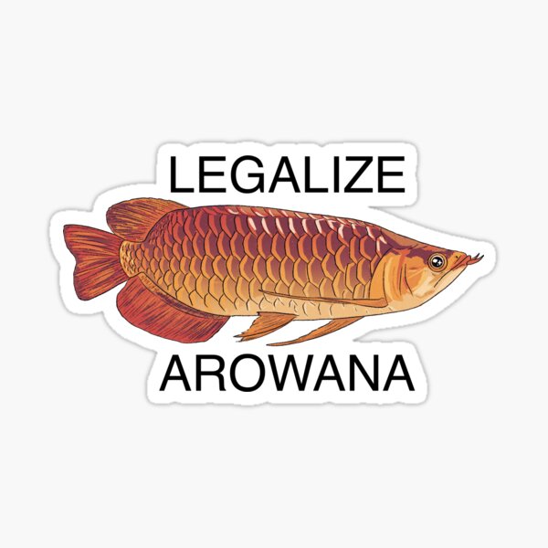 Arowana Merch & Gifts for Sale | Redbubble