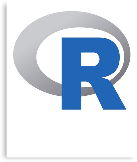 "R Official Logo Programming Language" Canvas Prints by Rainwater Merch ...